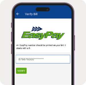 Using EasyPay to pay for your Vuma Reach Prepaid Services! - RSAWEB Shop