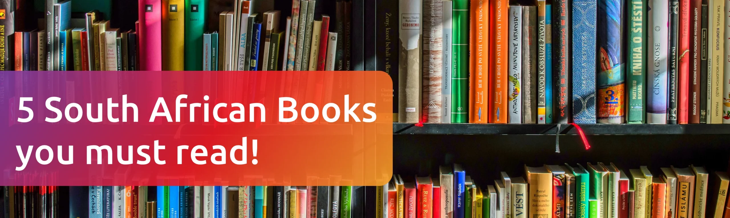 5 South African Books you must read! - RSAWEB Shop